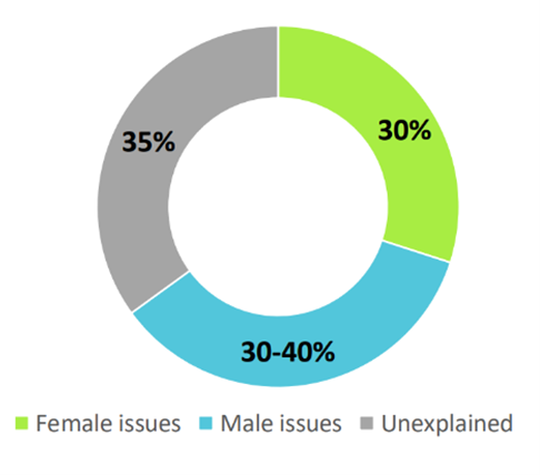 Fertility In The Workplace | Fertility Network